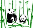 Free Stock Photo Of Panda At The Zoo Eating Bamboo Shoots Photoeverywhere