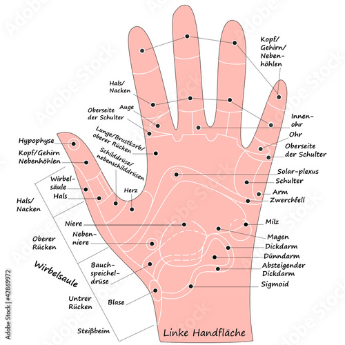 "Handreflexzonen der Linken Hand" Stockfotos und lizenzfreie Vektoren auf Fotolia.com - Bild ...