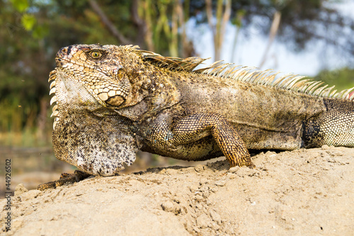 VIAJE DE ESTUDIOS : investigacion de los ecosistemas
