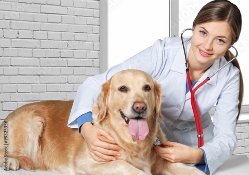 "Veterinarian." Stock photo and royalty-free images on Fotolia.com ...